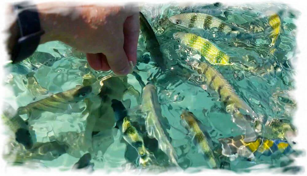 Kayak rental on Koh Chang and sea trip - Useful Tips